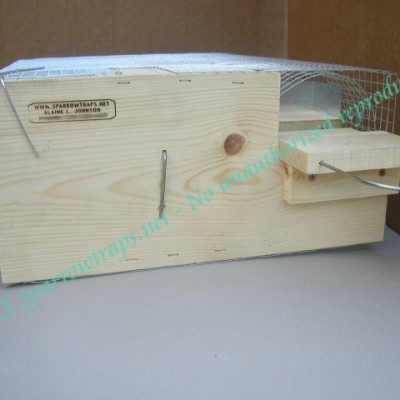 The Trap – Sparrowtraps.net