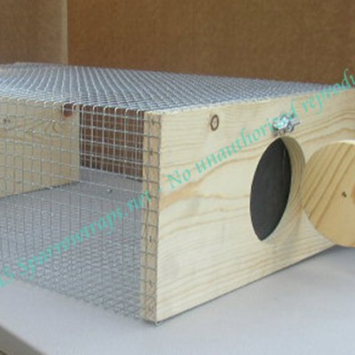 The Trap – Sparrowtraps.net